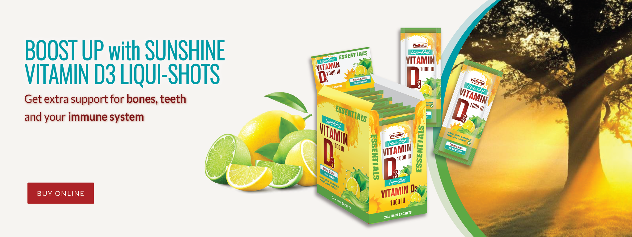 Wellvita Supplements-Buy Online& Retail Stores in South Africa