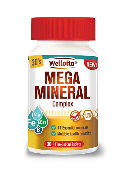 Mega Mineral Complex-Buy Online in South Africa - Wellvita